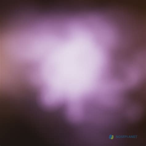 Eugenol 丁香酚 鼻子星球