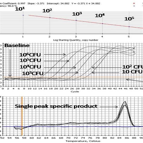 Pcr Profiling And Melting Curve Analysis Of Qpcr A C A Standard Download Scientific