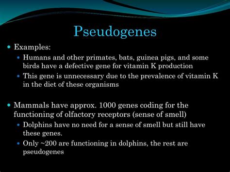 Ppt Modern Theory Of Evolution Powerpoint Presentation Free Download