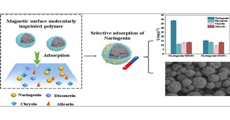 Nanomaterials Based On Magnetic Surface Molecularly Imprinted Polymers For Specific Recognition