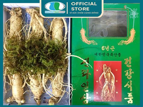 Sâm Tươi Hàn Quốc Hộp 4 Củ 1 Kg Nguyentrancoop Vn