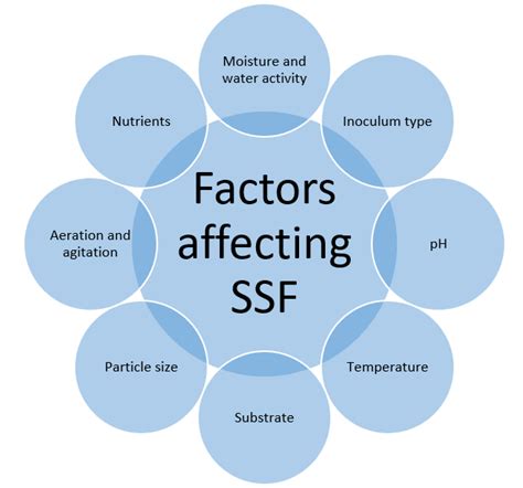 Factors Affecting Ssf Download Scientific Diagram