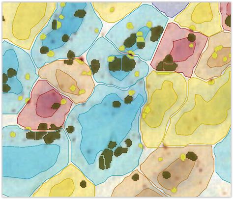 Subcellular Detection Expand To 4 Categories · Issue 146 · Qupath