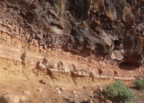 The Importance Of Soil Science A Complete Overview