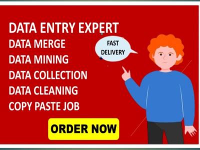 A Excel Data Entry Data Cleaning Upwork