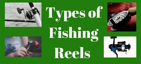 Different Types Of Fishing Reels A Helpful Guide