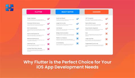 Why Flutter Is The Perfect Choice For Your IOS App Development Needs Mosaicecho