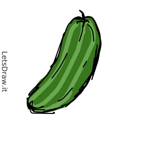 How To Draw Cucumber Y Qwnxjy Png LetsDrawIt