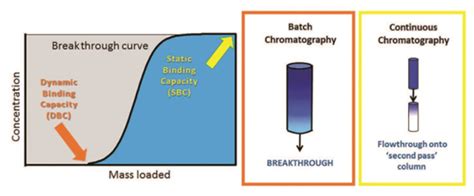 Multi Column Chromatography
