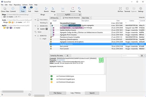 java github with sourcethree error in push stack overflow