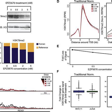Normalization And Interpretation Of Chip Seq Data Download Scientific