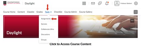 Assignments Assessments Help Elc