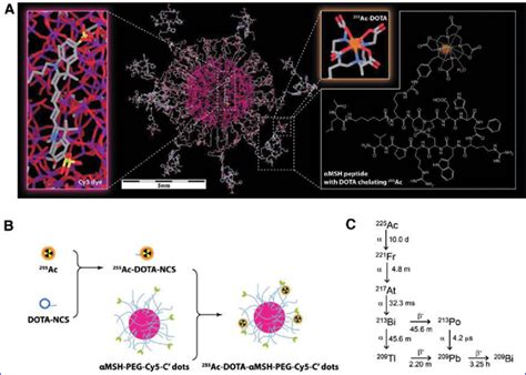 Molecular structure of [ 255 Ac]aMSH-PEG-Cy5-C¢ dots, radiochemical... | Download Scientific Diagram