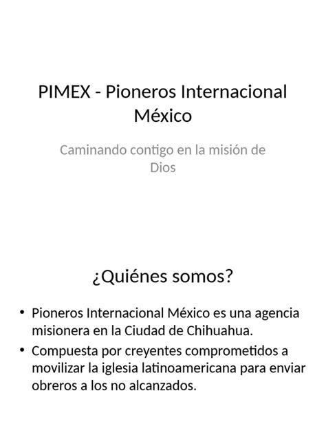 Pimex Presentation Pdf