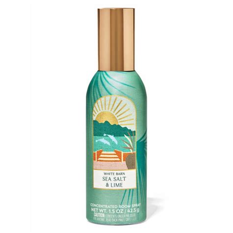 Bath And Body Works Sea Salt And Lime Concentrated Room Spray 1 5 Fl Oz