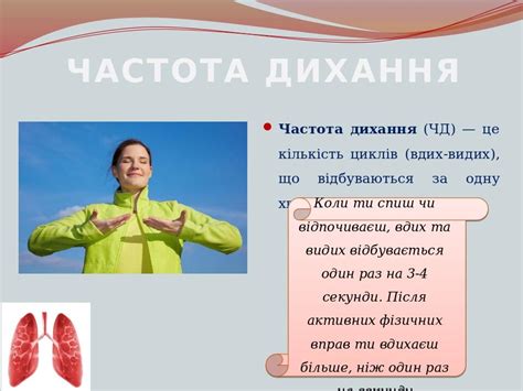 Презентація Дихальні рухи Нейрогуморальна регуляція дихання 8 клас