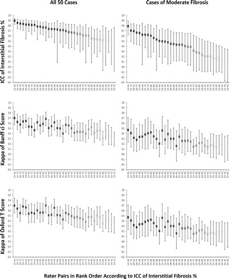 Pairwise Inter Rater Reliabilities Of The Interstitial Fibrosis