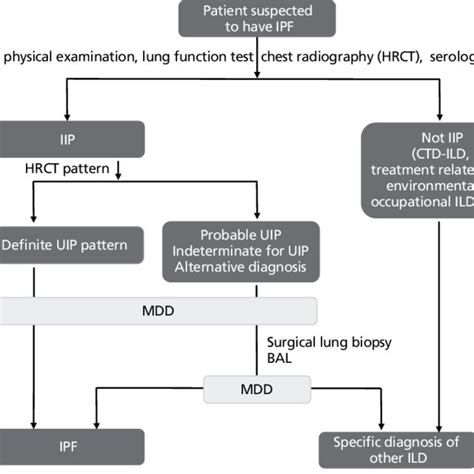 Pdf Diagnosis And Treatment Of Interstitial Lung Disease Focusing On