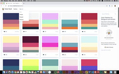 Colorhunt 컬러관련 사이트 추천합니다 Library