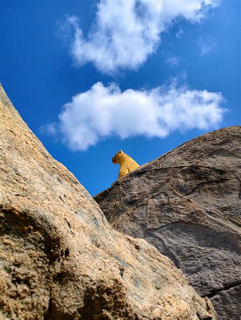 Bigasstwerk Photos Download The Best Free Bigasstwerk