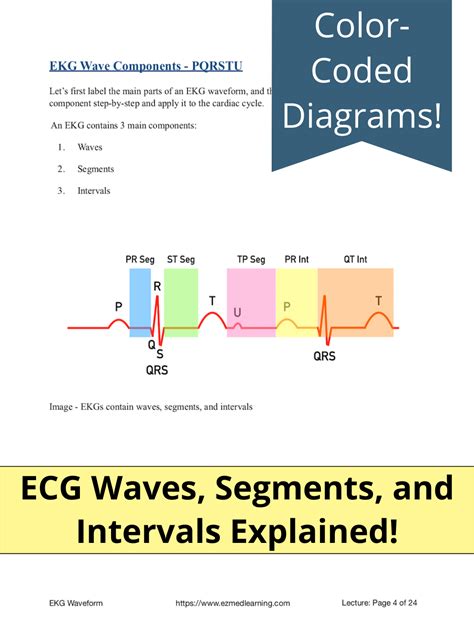 Ecg Segments Explained At Cheryl Lee Blog