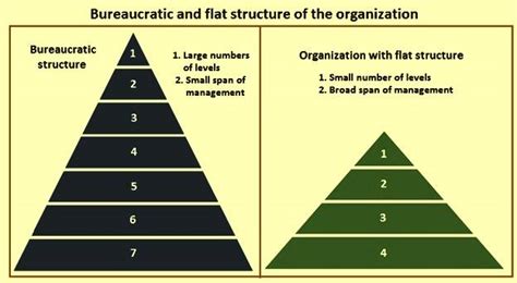 Bureaucracy Structure
