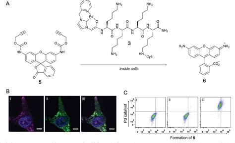 Figure 2 From Intracellular Delivery Of A Catalytic Organometallic