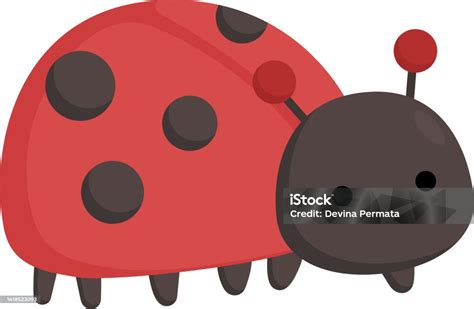 A Vector Of A Ladybug Stock Illustration Download Image Now Adult