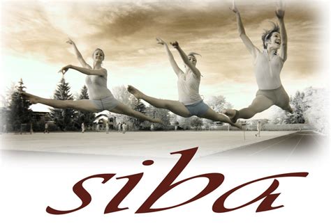 Siba Tienda De Ballet Feel Like Dancing