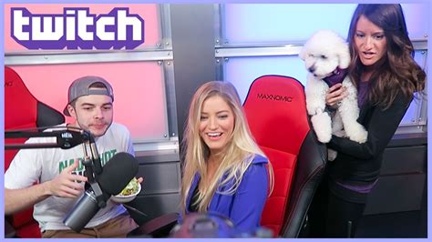 CRASHING THE STREAM YouTube