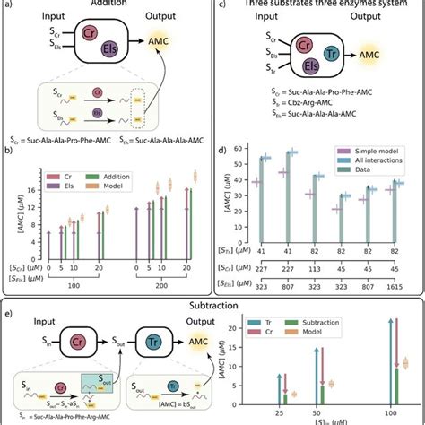 A Hardware Platform Enzymes Immobilised On Polyacrylamide Beads Are Download Scientific
