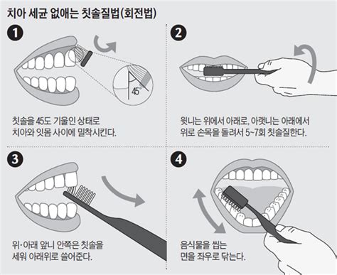 그래픽 뉴스 칫솔로 치아 표면 돌려 닦으면 세균 제거 효과 커 당신의 건강가이드 헬스조선