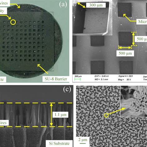 schematic of microcavity array device a real picture of proposed