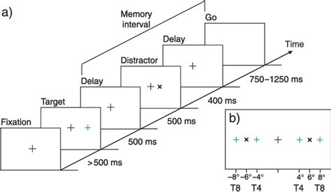 A Experimental Paradigm Of Experiment 1 An Example Of An Experimental Download Scientific