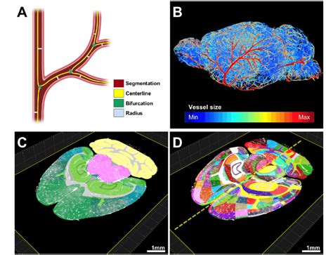 Pipeline Showing Feature Extraction And Registration Process Into The Download Scientific