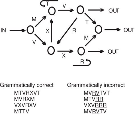 structure of the artificial grammar letter strings are generated by