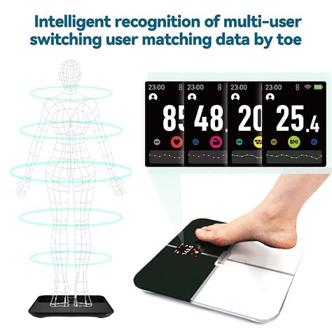 Buy LEPULSE Smart WiFi Body Fat Scale With Interactive TFT Display Bluetooth Weight Scales For