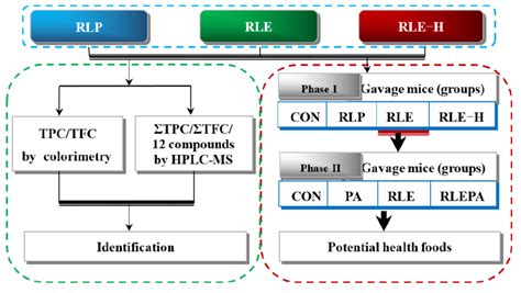 Flowchart Of The Experiment RLP Raspberry Leaf Powder RLE Download Scientific Diagram