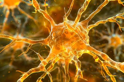 Premium Photo A Closeup View Of Neural Activity In The Human Brain Showcasing Firing Neurons