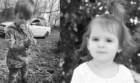 Fall Danka Verdächtiger Will Nächste Woche Auspacken