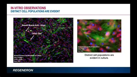 Anabios Webinar Single Cell Sequencing To Identify Distinct Cell