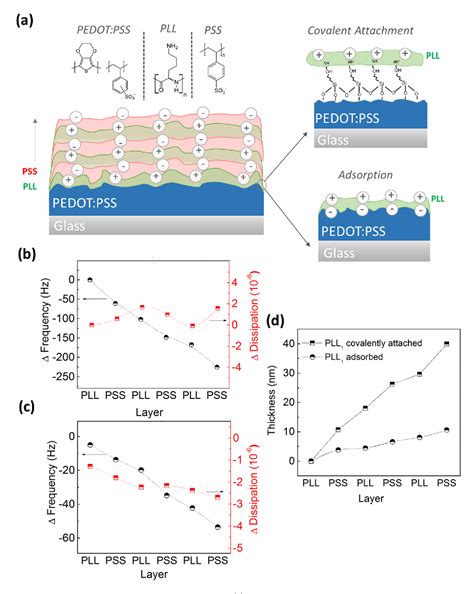 Figure 1 From Polyelectrolyte Layer By Layer Assembly On Organic