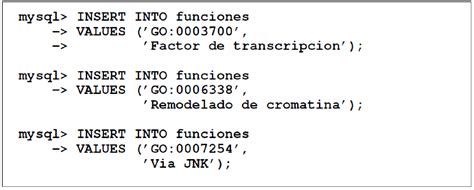 Gestión De Datos 16 Insertar Y Manipular Datos En Las Tablas