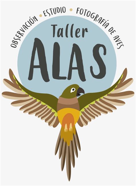 Accipitridae 2012x2600 Png Download Pngkit