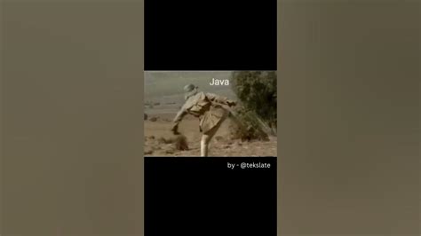 😅 java vs c ai developermemes codingmemes funny comedy programmingmemes youtube