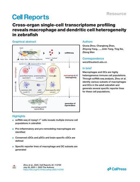 PDF Cross Organ Single Cell Transcriptome Profiling Reveals Macrophage And Dendritic Cell