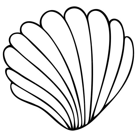 Premium Vector Shell From Pearls Marine Fossil Sketch Former Clam