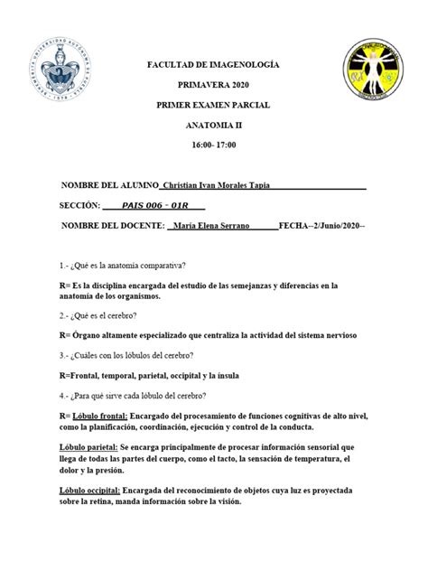 Examen De Anatomia Ii Pdf