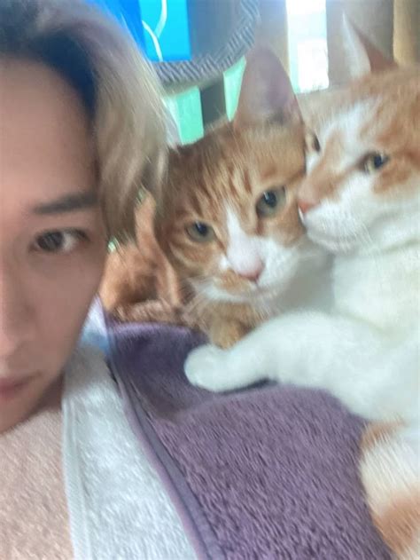 Lee Know And Cats Fotos De Harry Styles Material De Novio Pecas