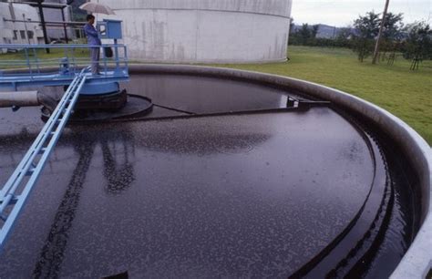 48시간전 이 숫자가 요동친다확진 증가 경고해주는 그래프